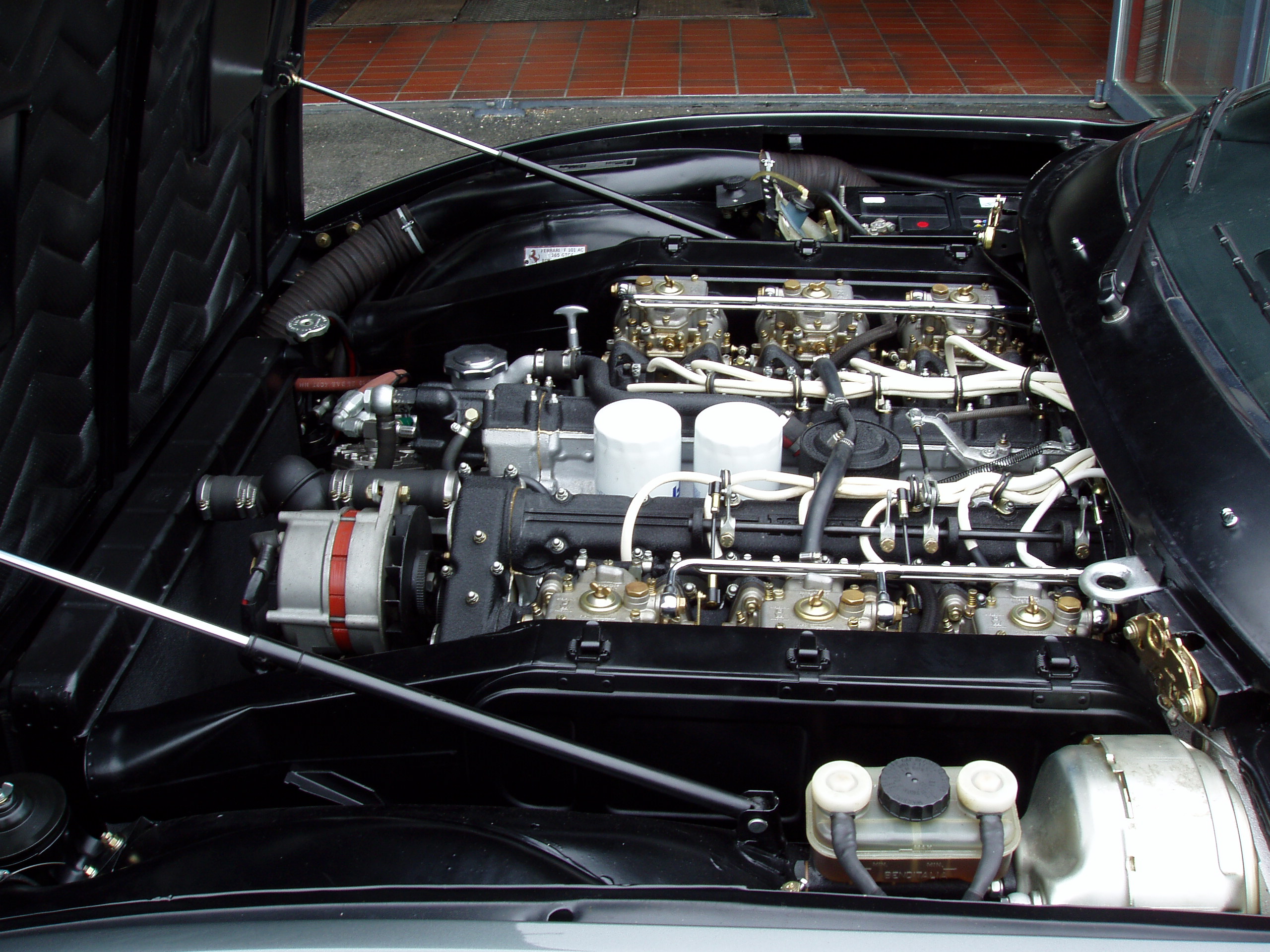 Ferrari 365 GTC/4 Registry Viewer